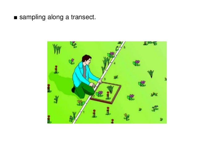 B2.4 organisms and their environment