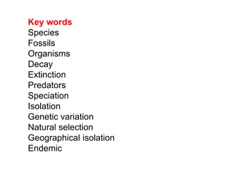 B2.8 speciation | PPT