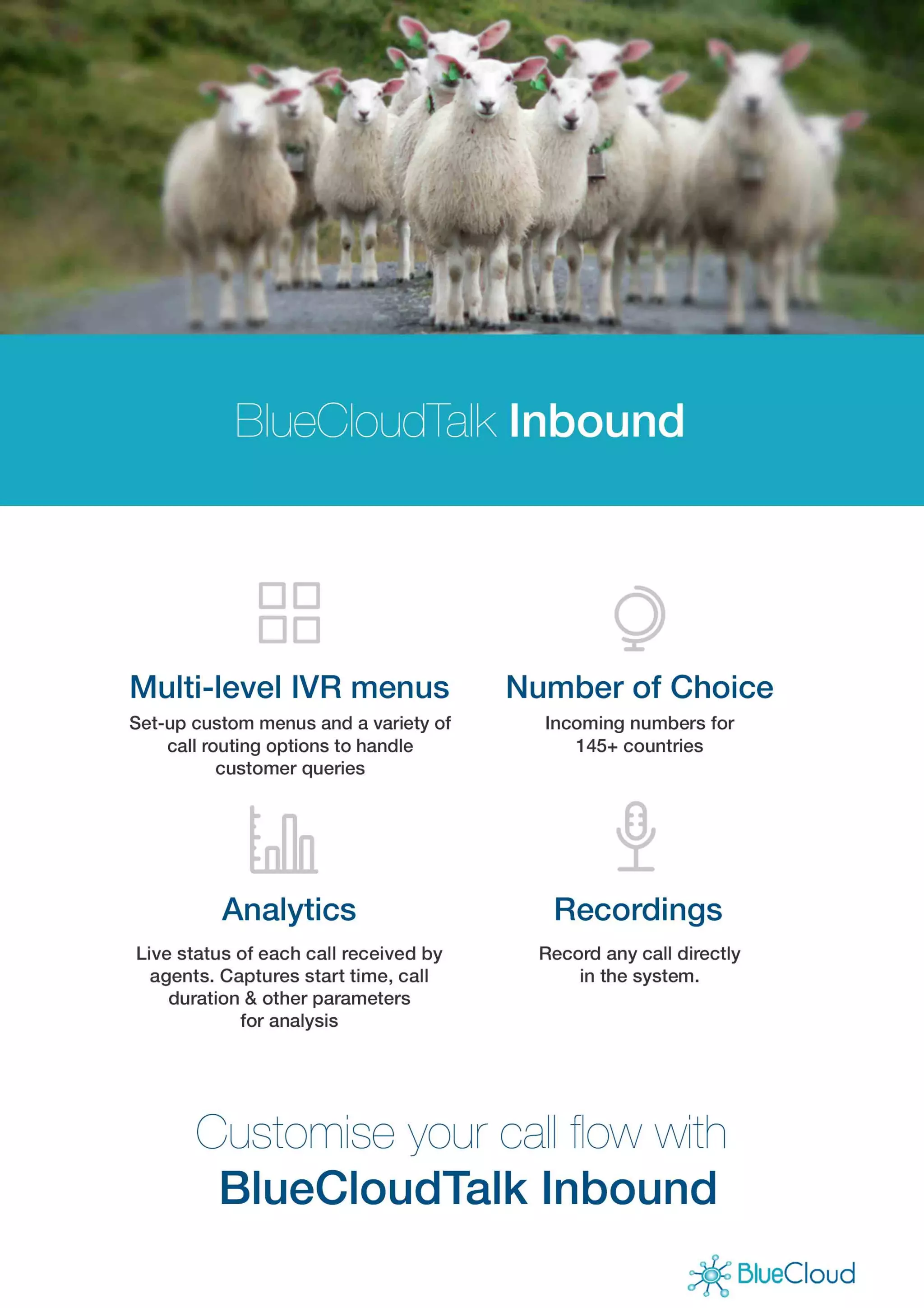 BlueCloud_Brochure_International | PDF