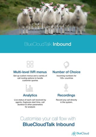BlueCloud_Brochure_International | PDF