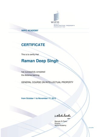 DL-101E_Electronic_Certificate | PDF