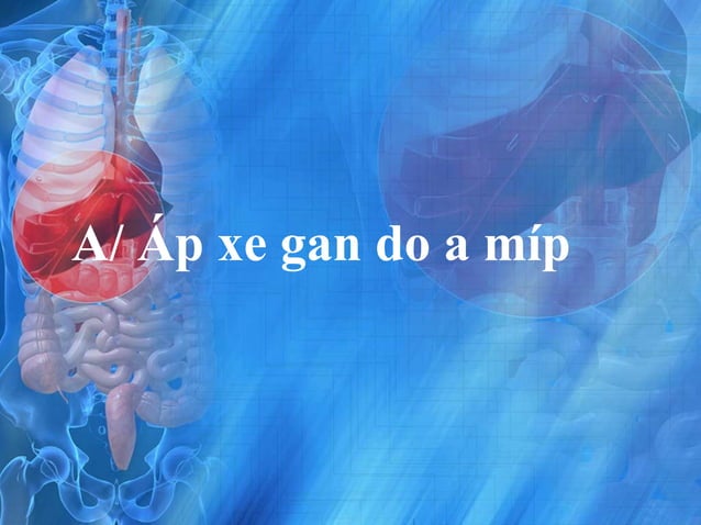 B23 apxe gan | PPT