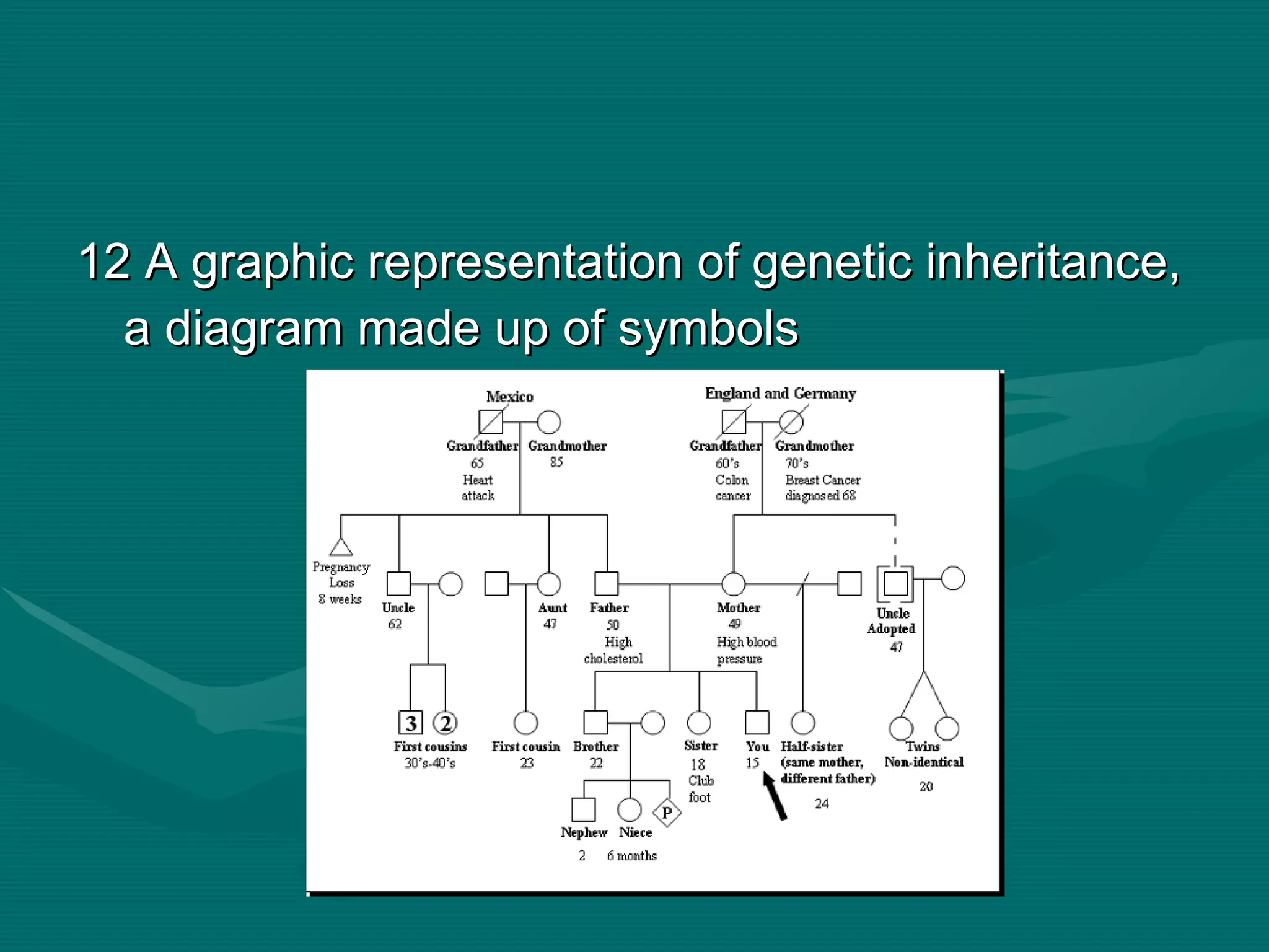B23 ppt patterns of heredity and human genetics | PPT