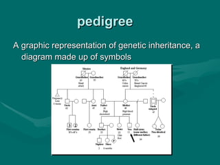 B23 ppt patterns of heredity and human genetics | PPT