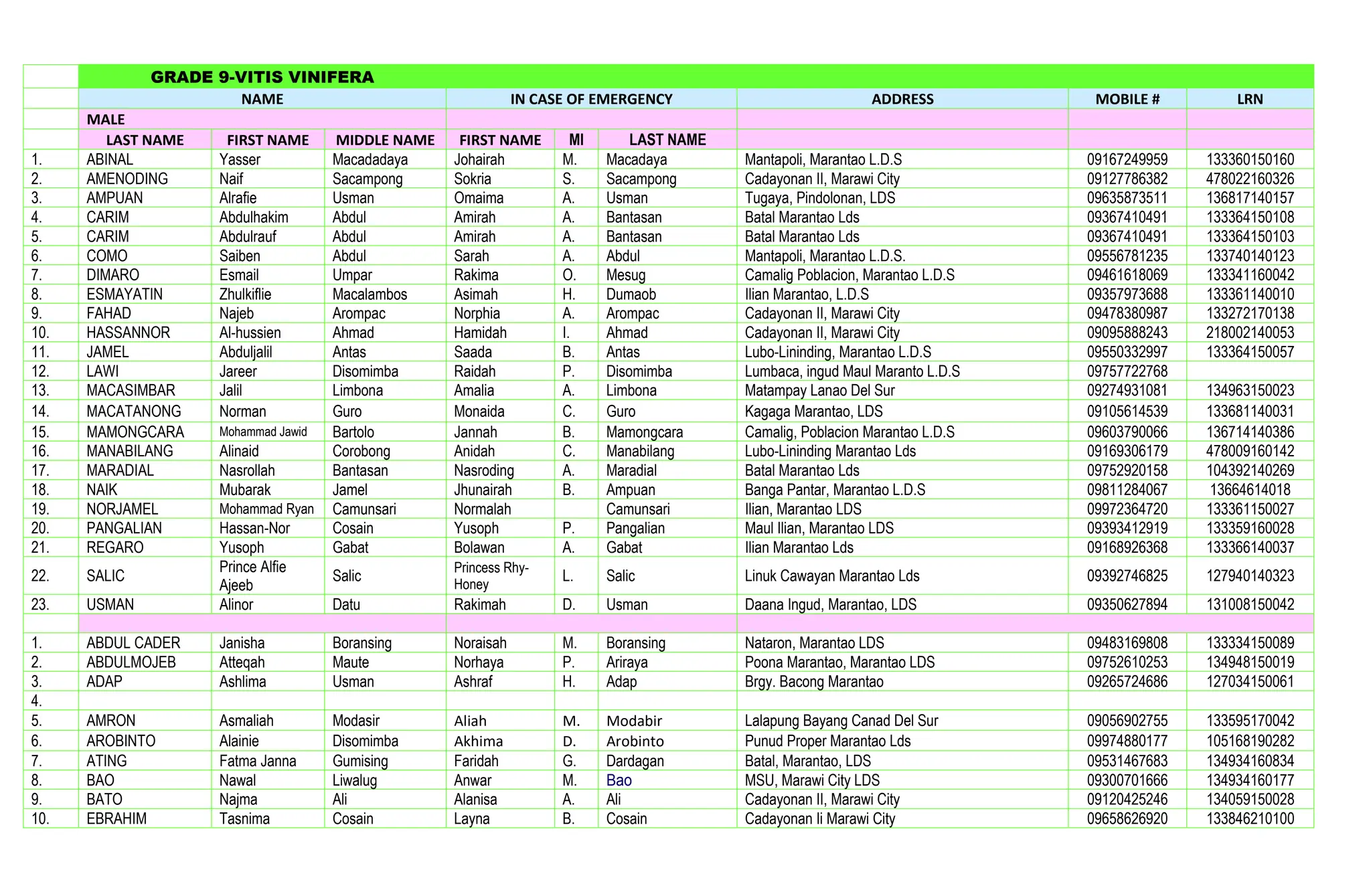 B2425 ID Form excel G9 VV (2024-2025).docx