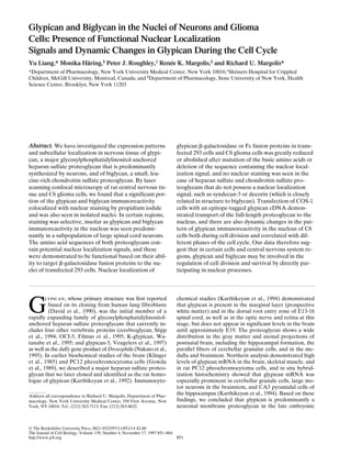 Glypican and Biglycan in the Nuclei of Neurons and Glioma Cells | PDF