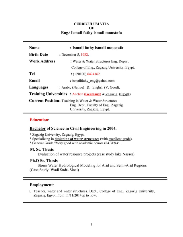 English_CV | PDF