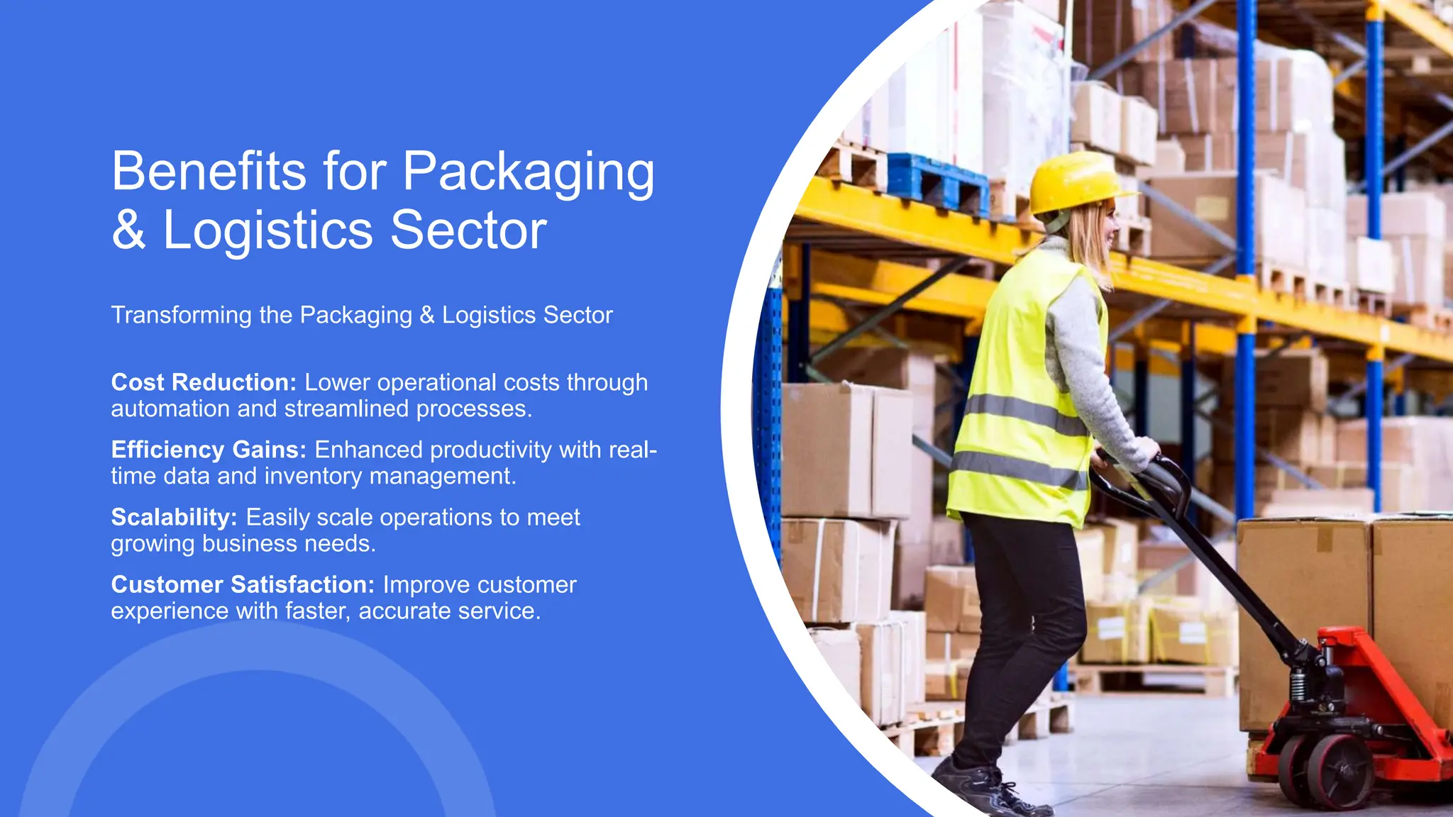B2B Ecommerce Software for the Packaging & Logistics Sector.pptx