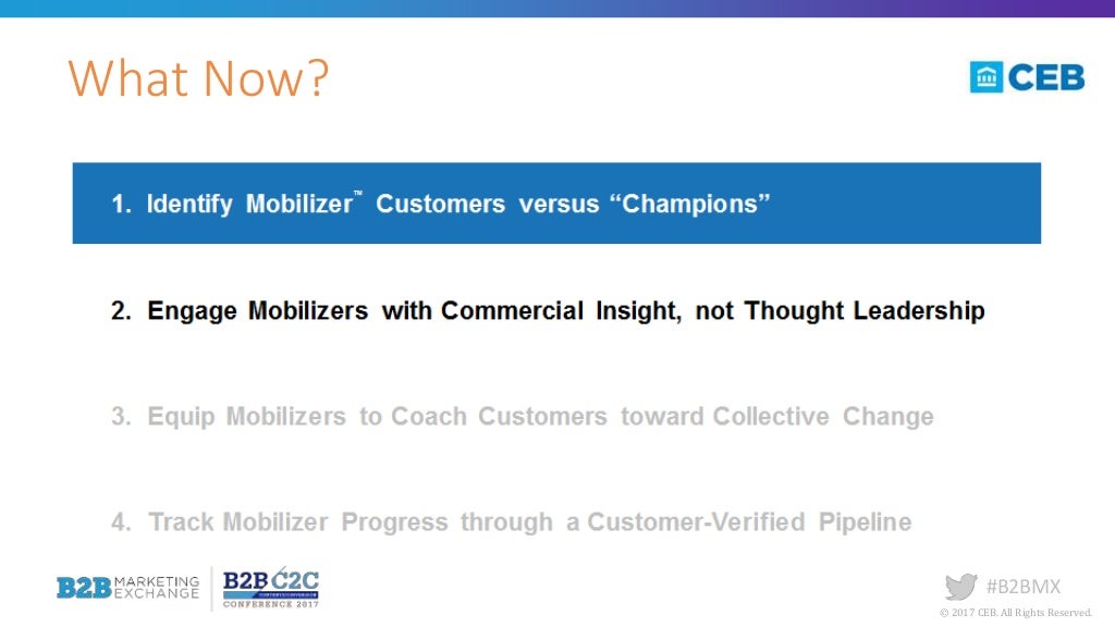 The Challenger Customer