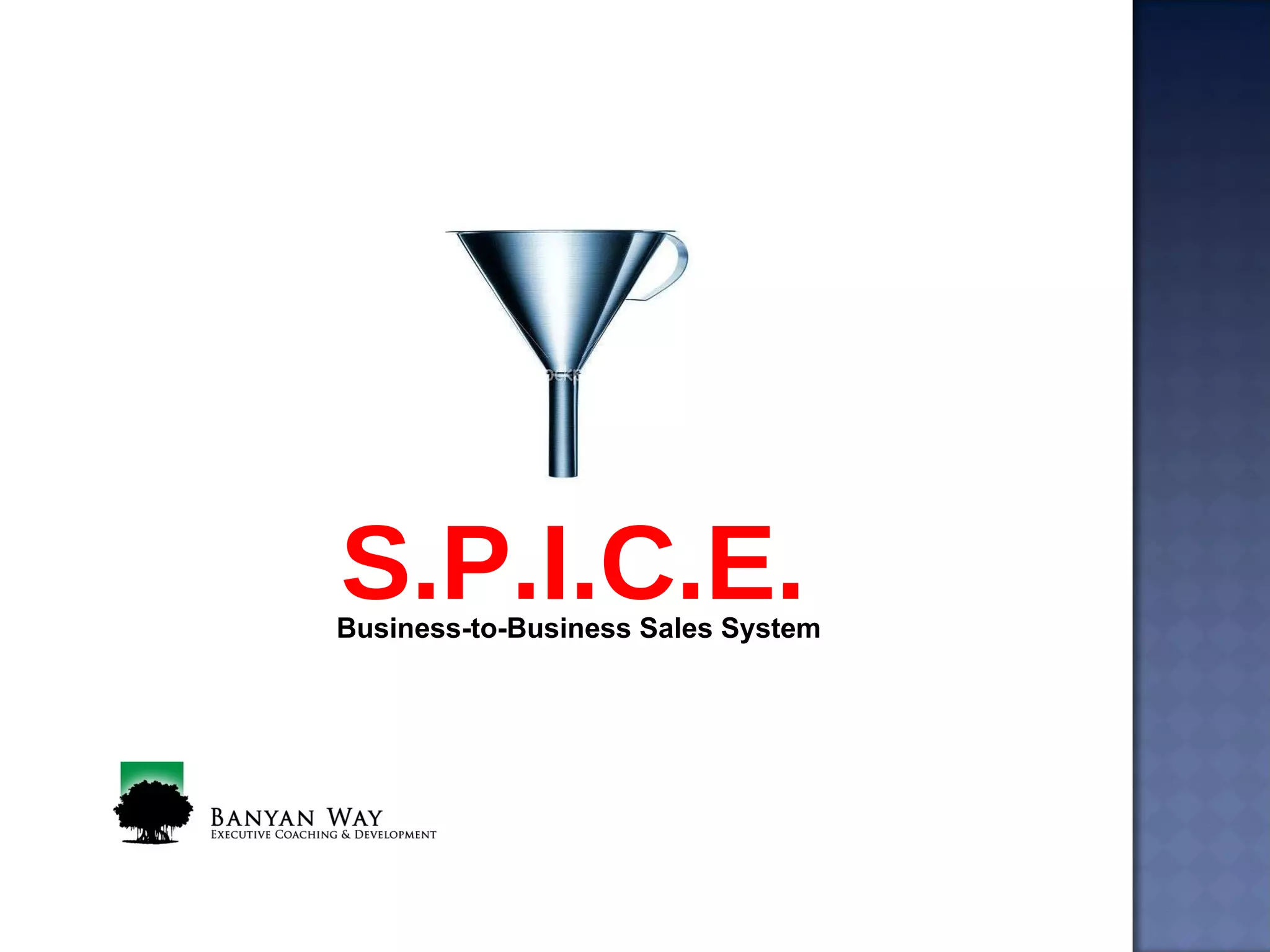 The SPICE Sales System | PPT | Sales | Business