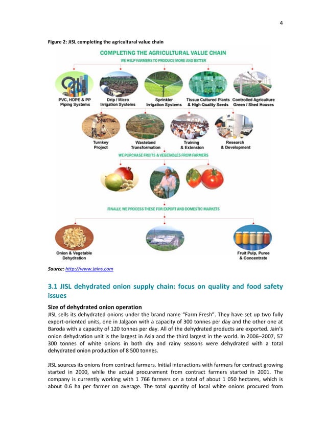 FAO Report on Onion Supply Chain JISL | PDF | Agriculture | Industries