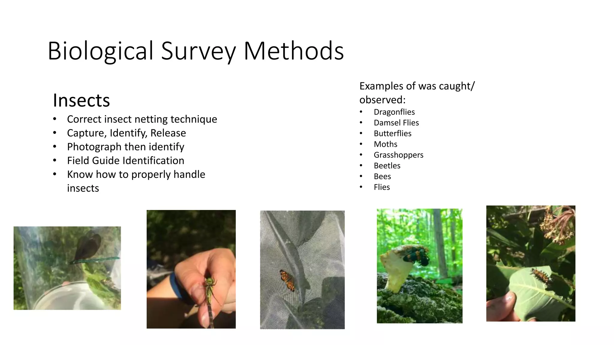 Berish_WorkSummaryPortfolio | PPT