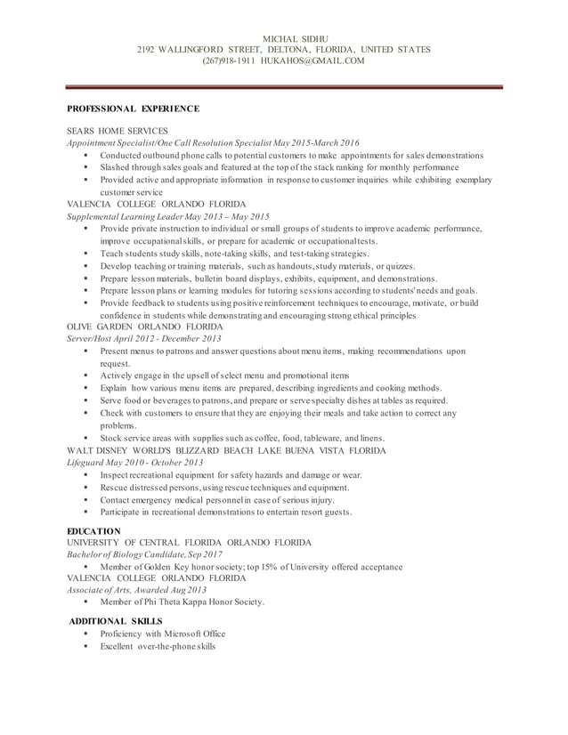 michal resume | PDF