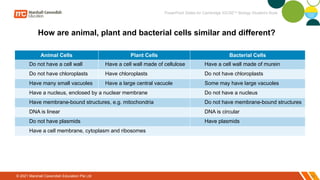 B2 CELLS combined sciences for igcse students | PPTX