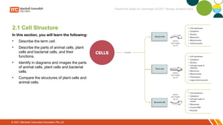 B2 CELLS combined sciences for igcse students | PPTX