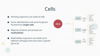 B2 Cells-cell structure and size of specimen.pptx