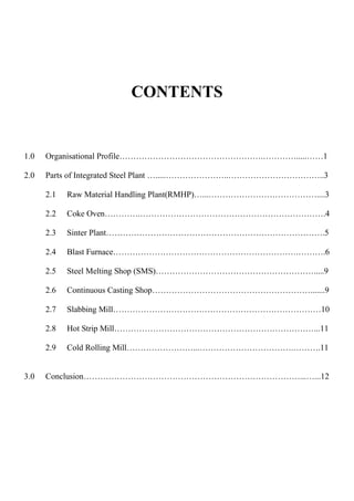 BSLVTReport(Rishav-5912697) | PDF