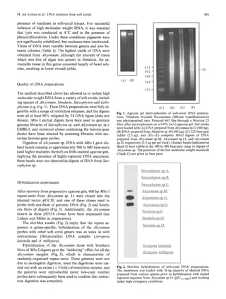 1990 -- ten Lohuis_Alderslade_Miller - Isolation dna somatic tissue ...
