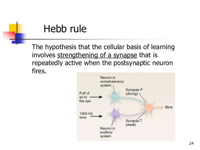 B2 m007 3229_learning_