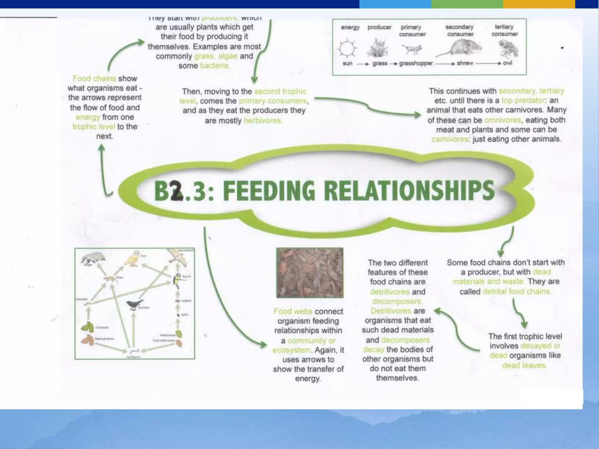 B2 OCR Biology concept maps and summaries | PPTX | Educational ...
