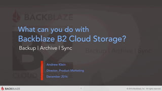 Backblaze B2 Cloud Storage Overview | PDF
