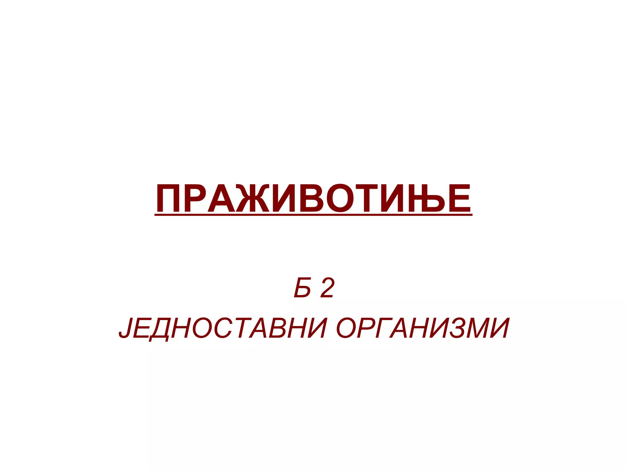 B2 Prazivotinje | PPT