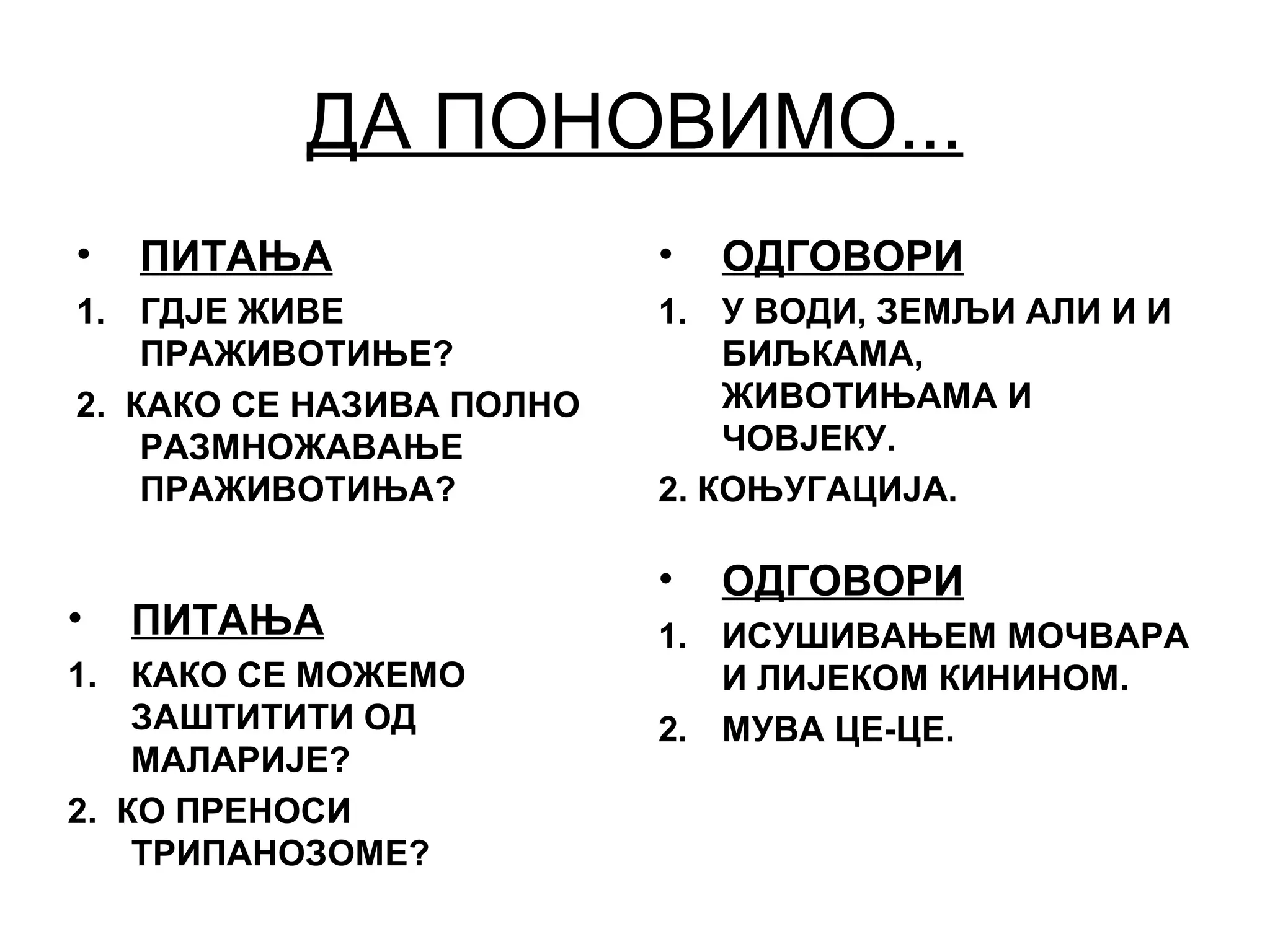 B2 Prazivotinje | PPT