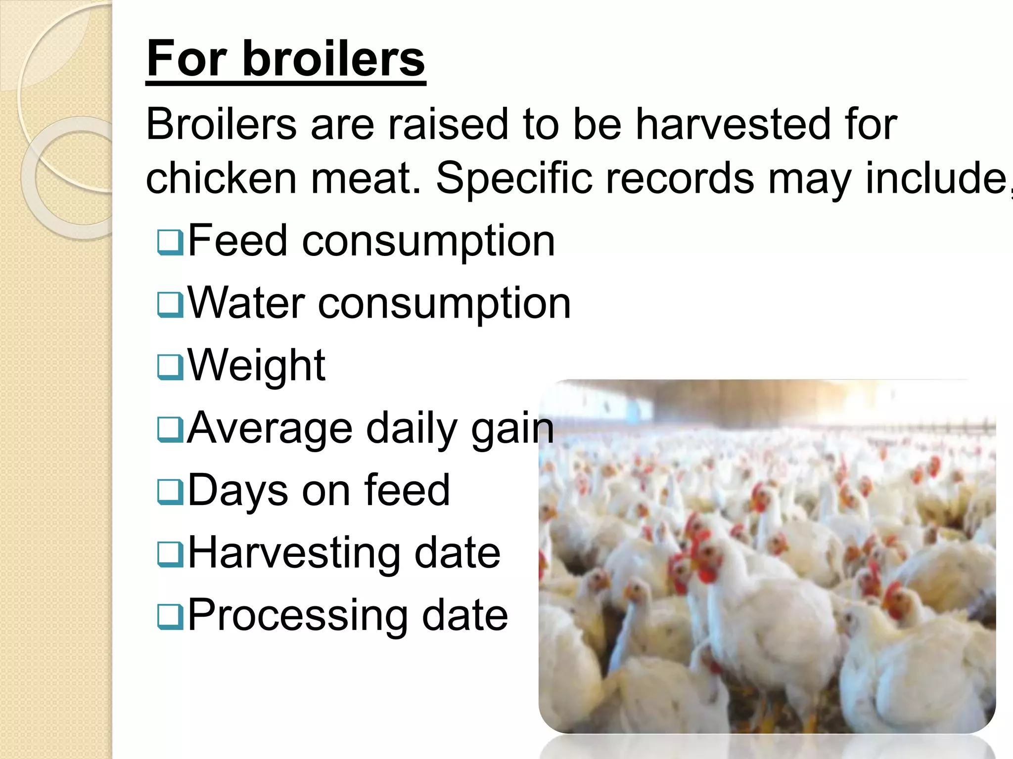 Record keeping in broiler production | PPTX