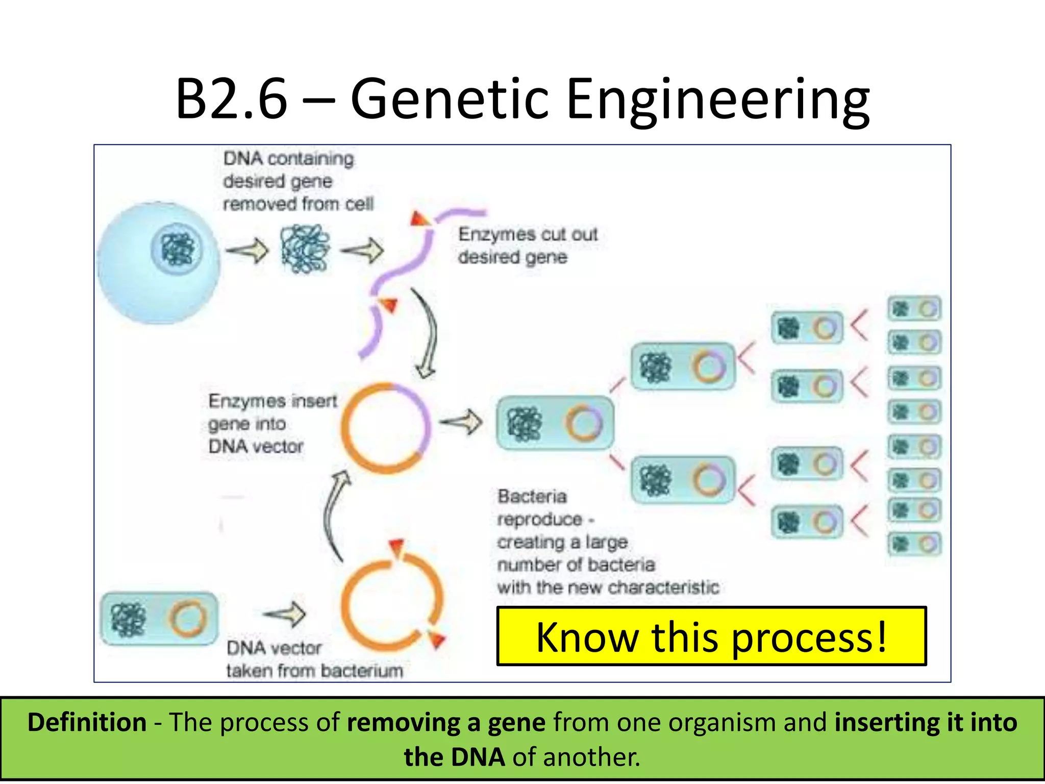 B2 revision powerpoint | PPTX