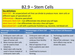 B2 revision powerpoint | PPTX