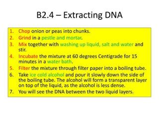 B2 revision powerpoint | PPTX
