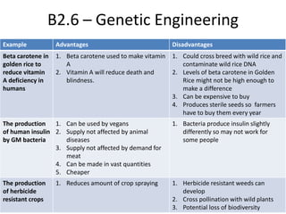 B2 revision powerpoint | PPTX