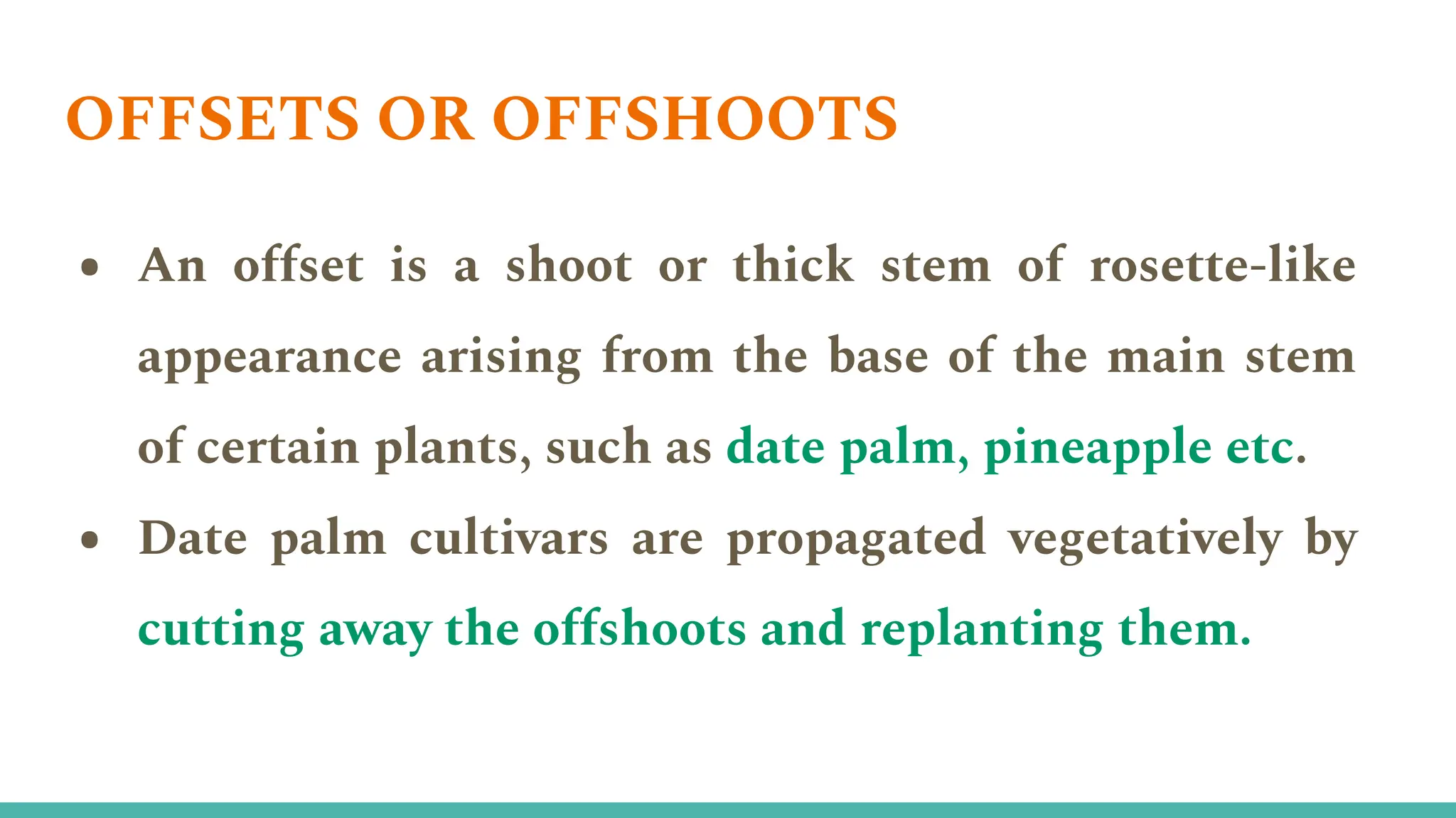 PROPAGATION BY SPECIALIZED VEGETATIVE STRUCTURE.pptx