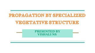 PROPAGATION BY SPECIALIZED VEGETATIVE STRUCTURE.pptx