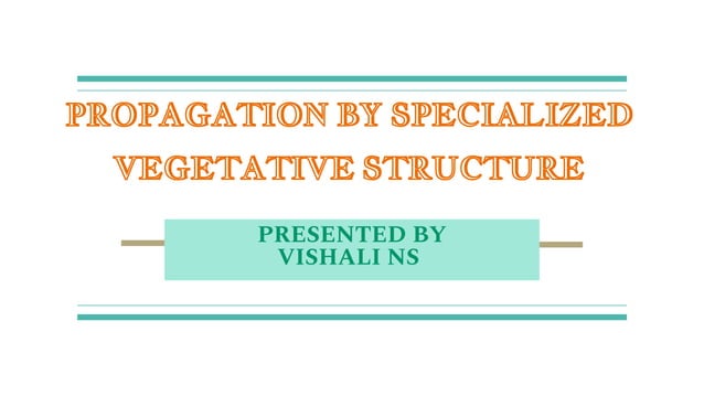 PROPAGATION BY SPECIALIZED VEGETATIVE STRUCTURE.pptx