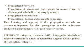 PROPAGATION BY SPECIALIZED VEGETATIVE STRUCTURE.pptx