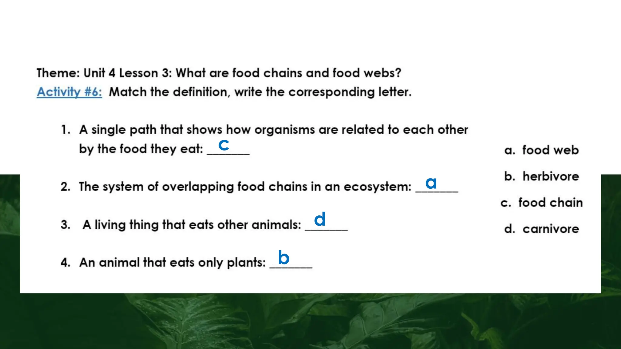 SCIENCE FOOD CHAINS AND FOOD WEBS- SCIENCE | PPT