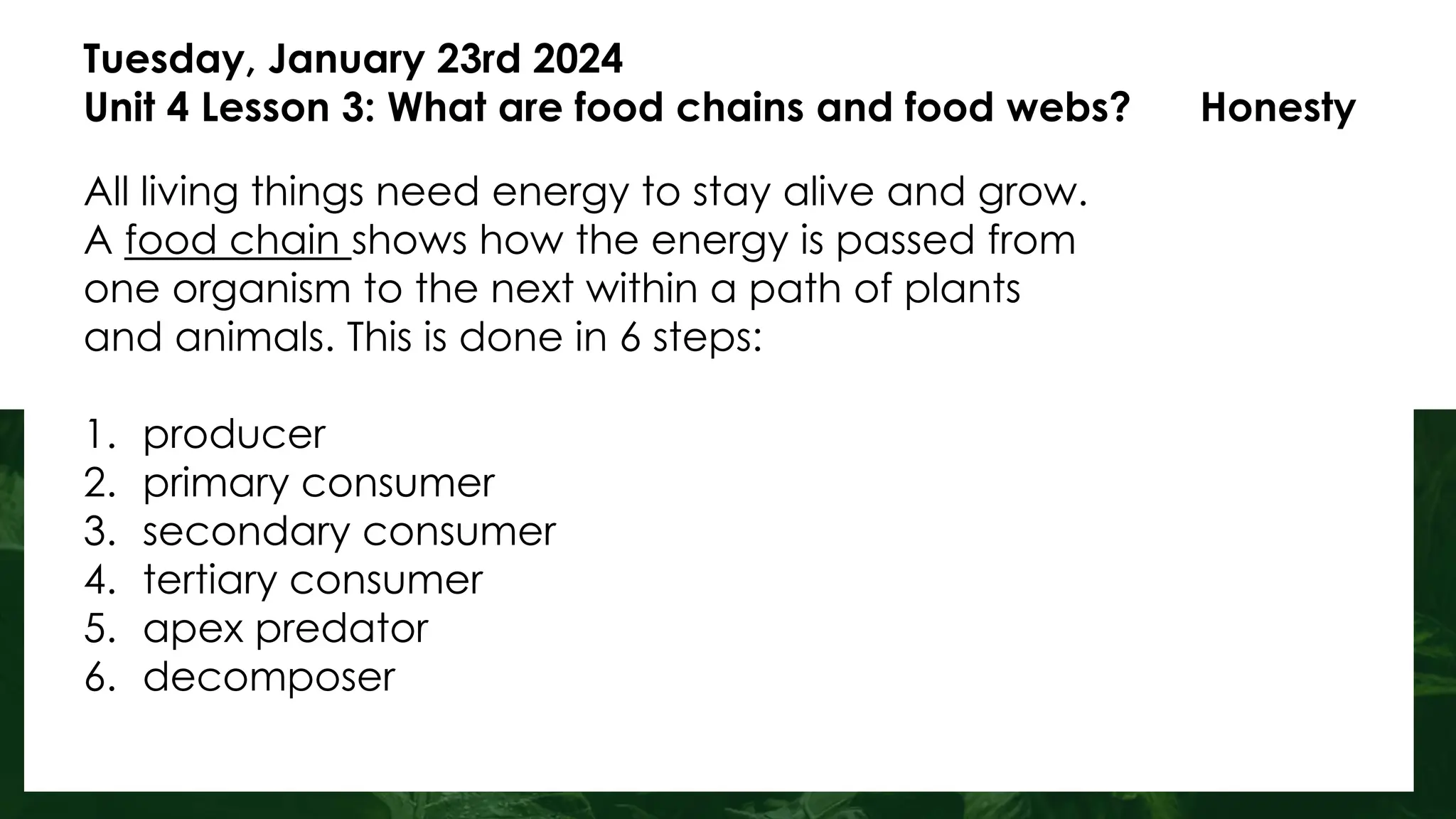 SCIENCE FOOD CHAINS AND FOOD WEBS- SCIENCE | PPT