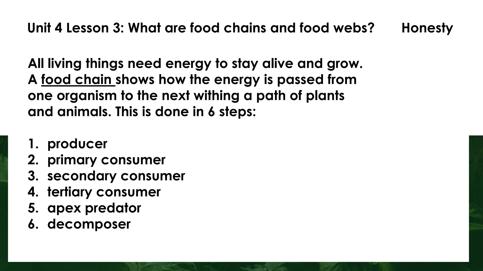 SCIENCE FOOD CHAINS AND FOOD WEBS- SCIENCE | PPT