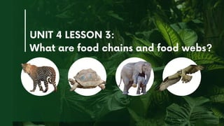 SCIENCE FOOD CHAINS AND FOOD WEBS- SCIENCE | PPT