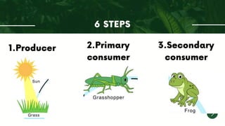 SCIENCE FOOD CHAINS AND FOOD WEBS- SCIENCE | PPT