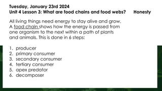 SCIENCE FOOD CHAINS AND FOOD WEBS- SCIENCE | PPT