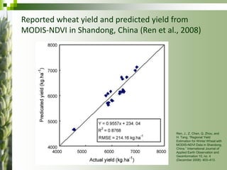 Forecasting Wheat Yield and Production for Punjab Province, Pakistan ...