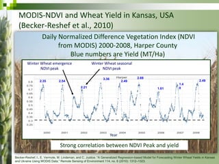 Forecasting Wheat Yield and Production for Punjab Province, Pakistan ...