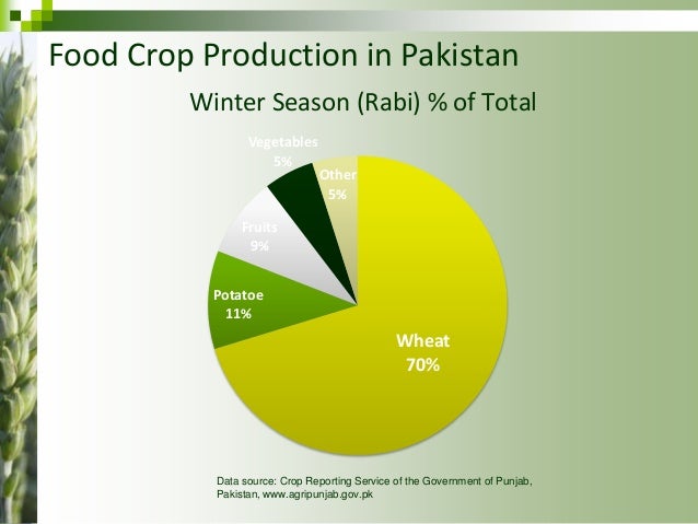 Forecasting Wheat Yield And Production For Punjab Province Pakistan