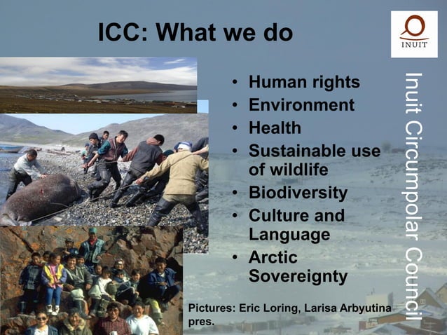 B3 Sp O KruemmelOutcomes of the Circumpolar Inuit Health Summit | PDF