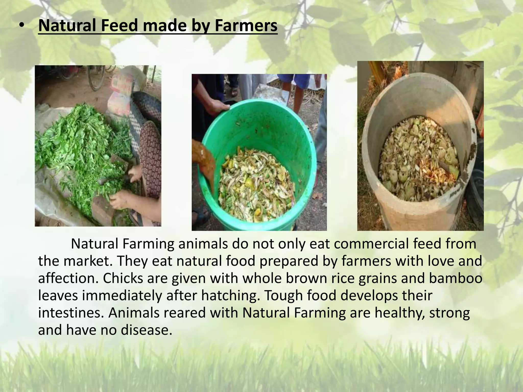 Natural Farming | PPTX