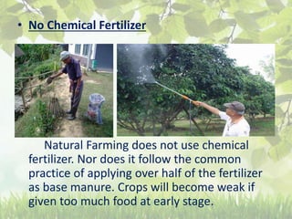Natural Farming | PPTX