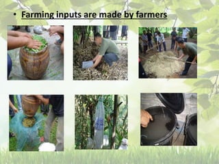 Natural Farming | PPTX