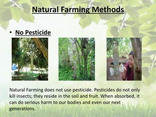 Natural Farming | PPTX